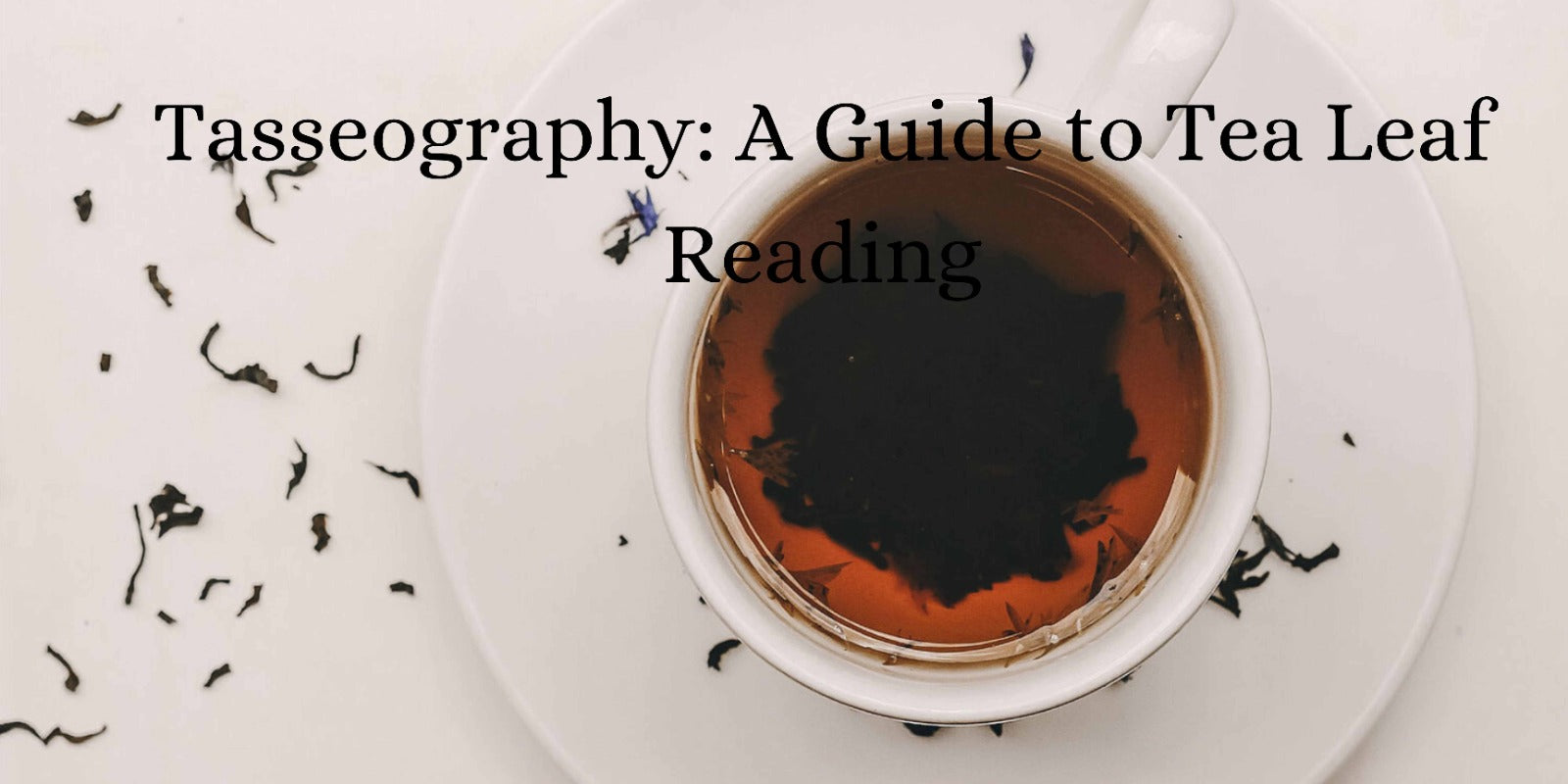 Tasseography A Guide To Tea Leaf Reading
