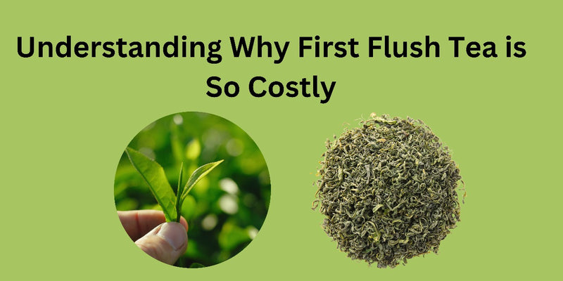 Understanding Why First Flush Tea is So Costly